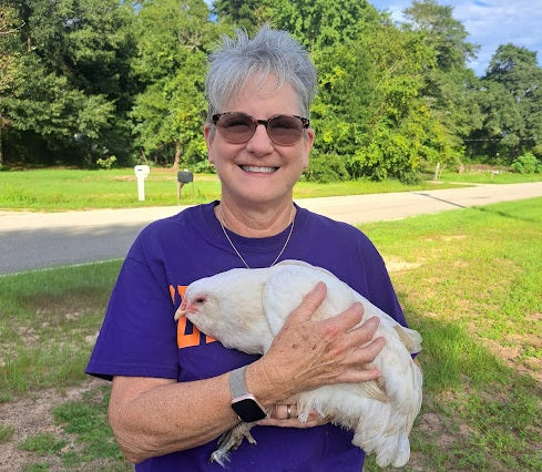 Heritage Rhode Island Red - LOCAL PICKUP ONLY – Hendricks Farm ...